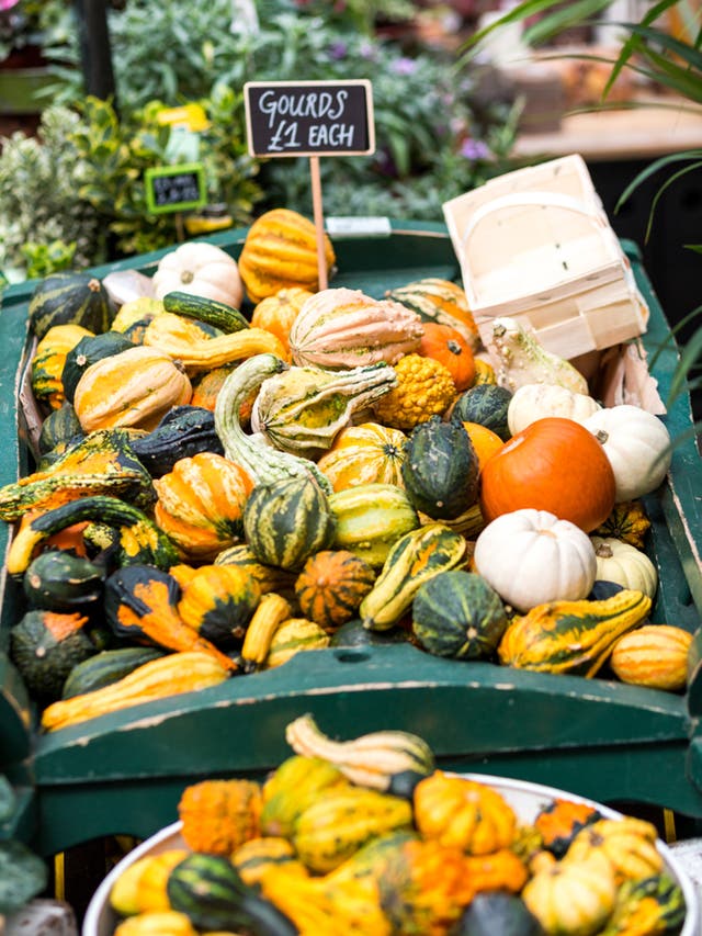 Borough Market in autumn is a cornucopia of colour | The Independent