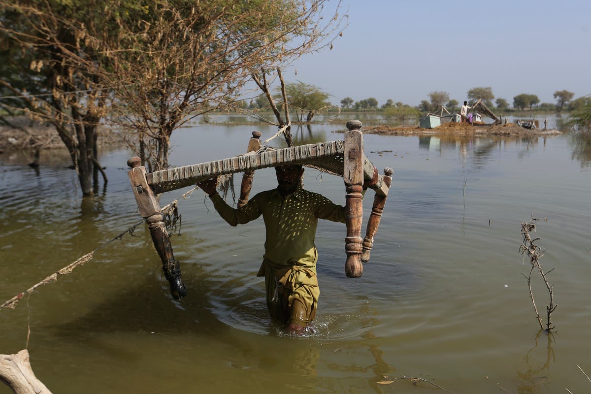 Study finds more people are moving into high flood zones, increasing ...