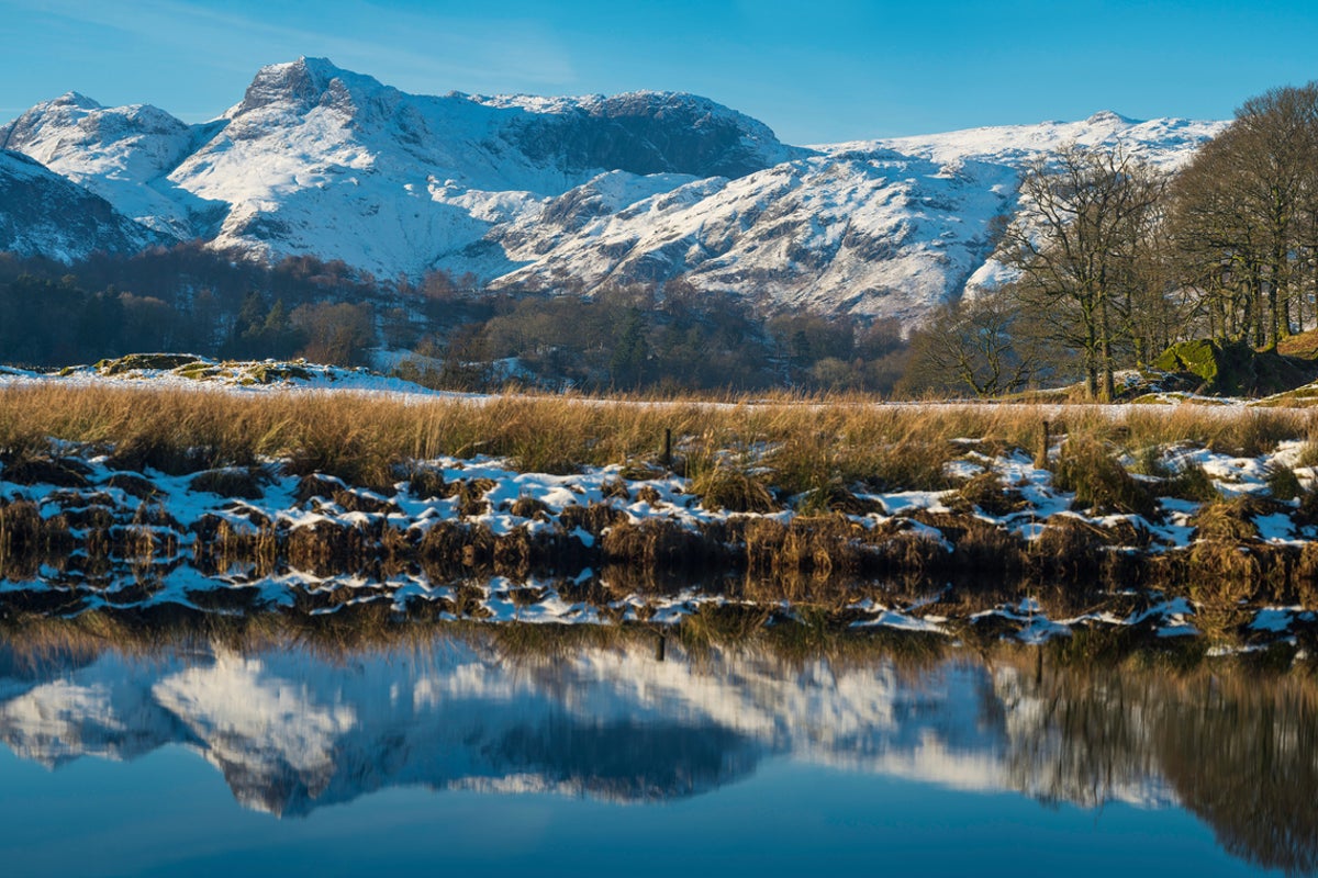 The best Christmas coach holidays for 2023 | The Independent