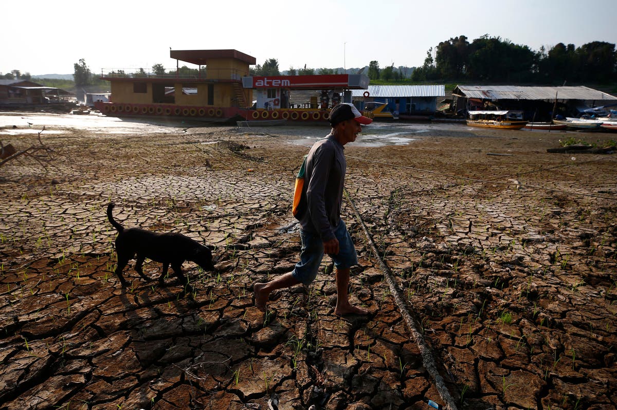 ‘Without water, there is no life’: Drought in Brazil’s Amazon is ...