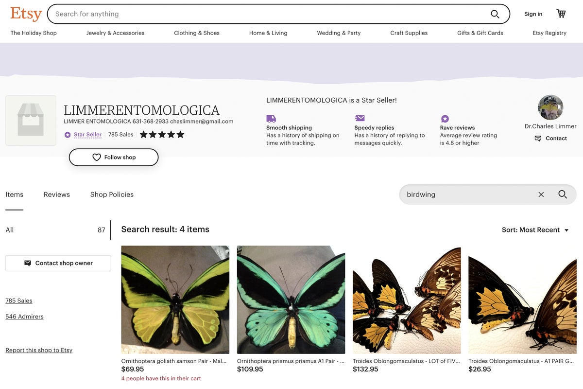 Rare birdwing butterflies star in federal case against NY man accused ...