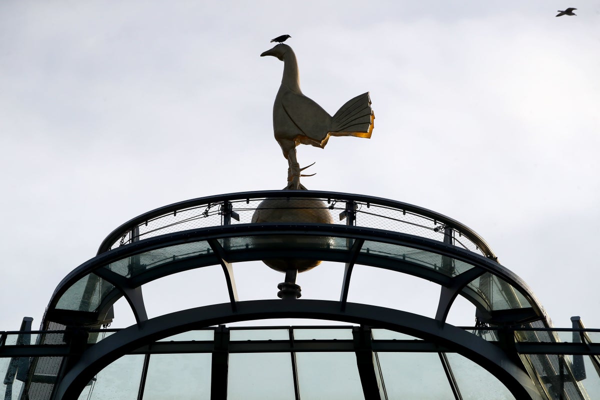 Tottenham Hotspur lose court challenge over regeneration scheme next to ...