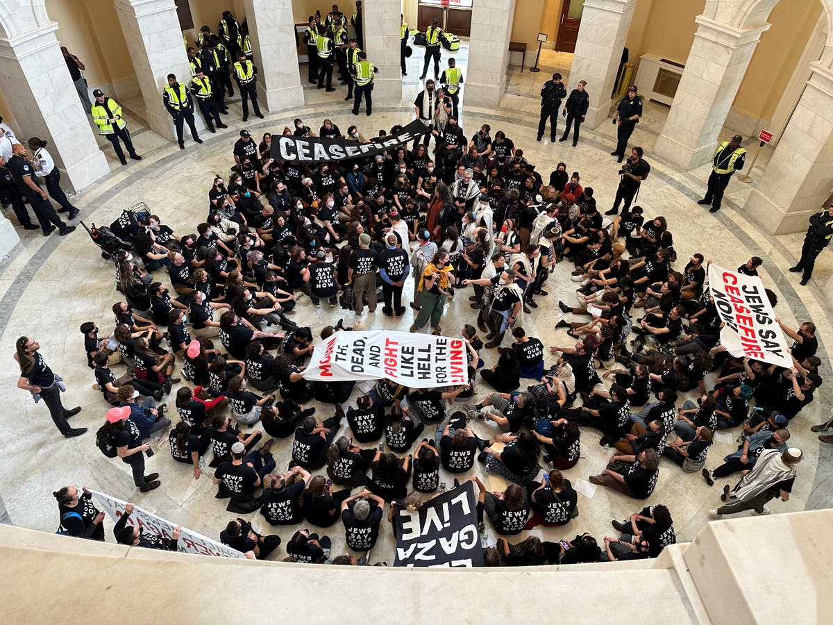 Dozens of protesters swarm Capitol rotunda to demand Israel-Hamas ...