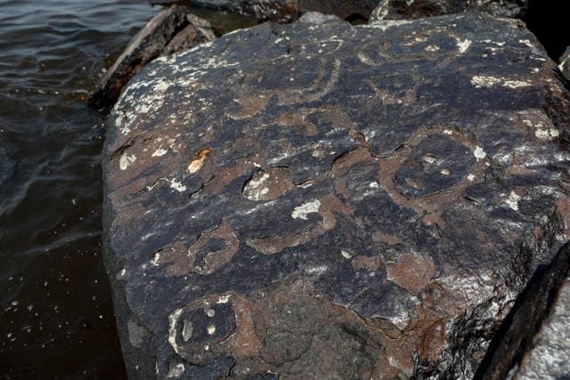 Mysterious ancient ‘human face’ rock carvings revealed by receding ...