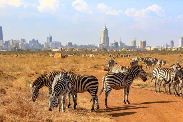 Lonely Planet releases top 50 destinations to visit in 2024 | The ...