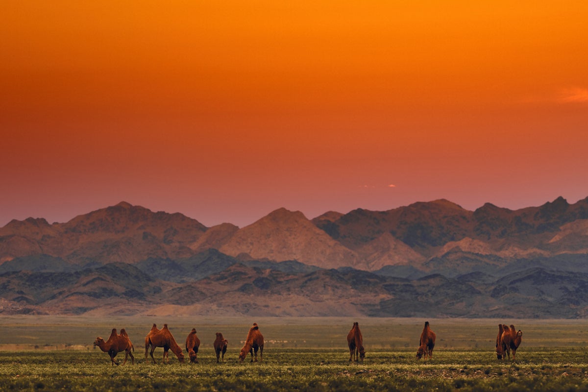 Lonely Planet releases top 50 destinations to visit in 2024 | The ...