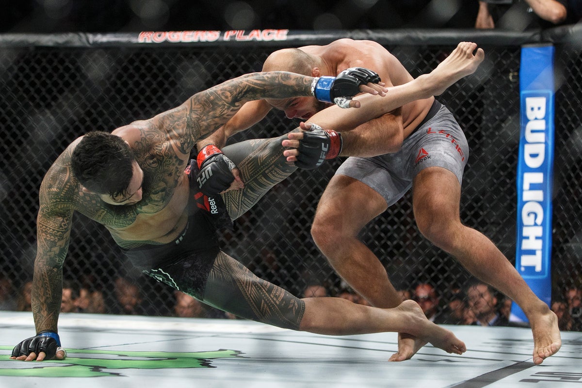 Bud Light to return as the UFC's official beer next year as it recovers ...