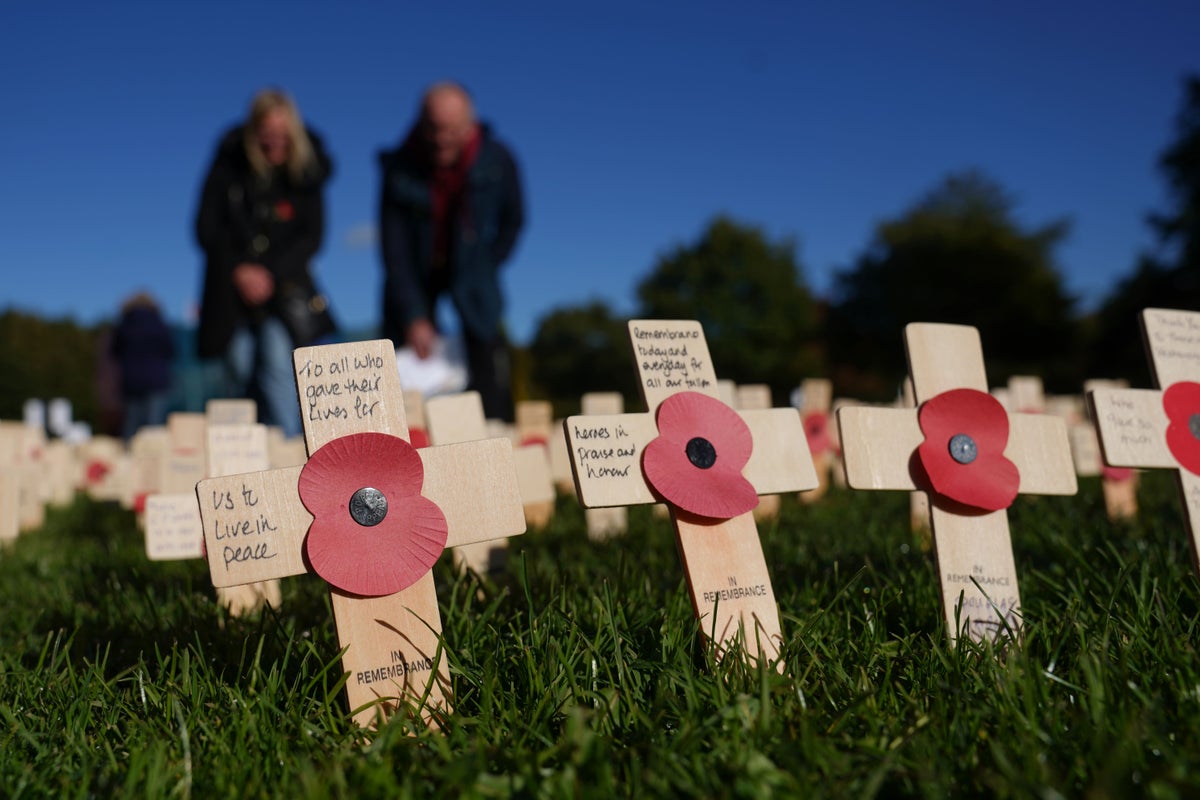 Veteran ‘humbled’ as largest field of remembrance opened by Royal ...