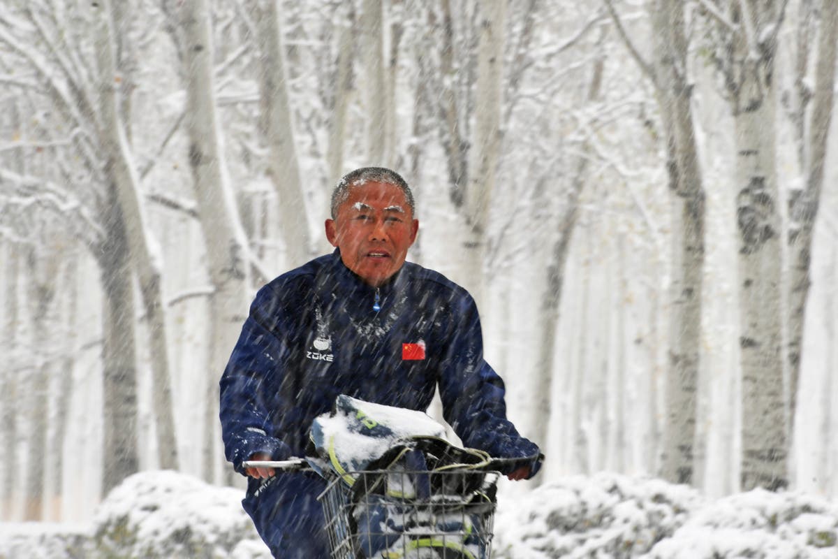 Northeast China sees first major blizzard this season and forecasters ...