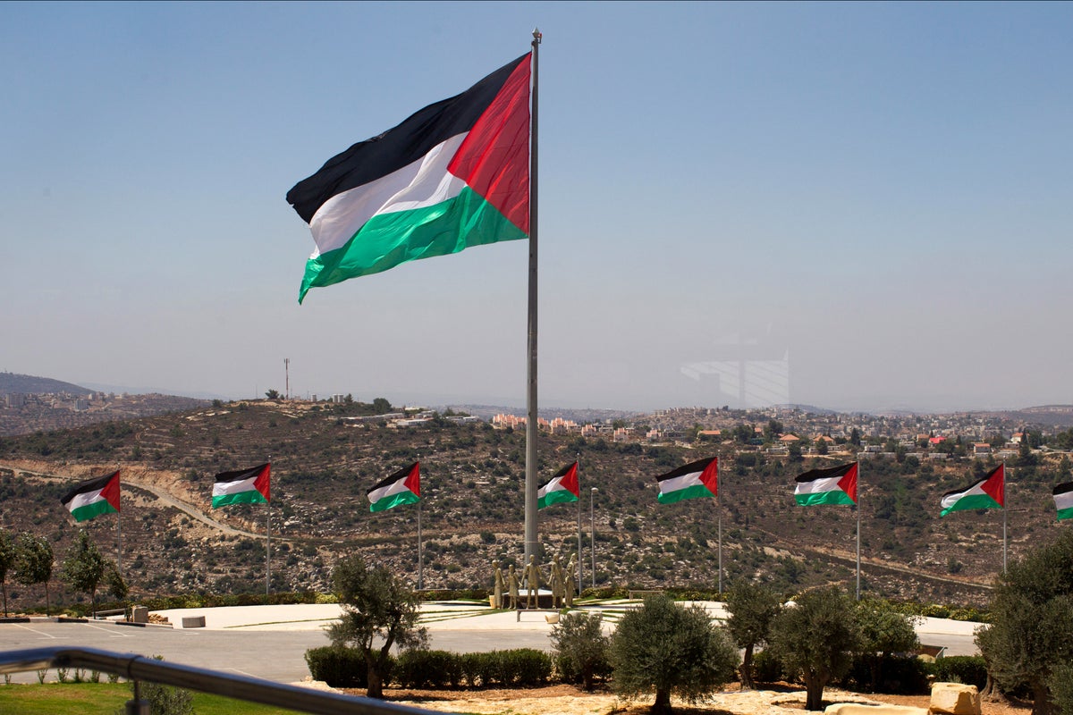 Palestine to play ‘home’ World Cup qualifier in Kuwait | The Independent