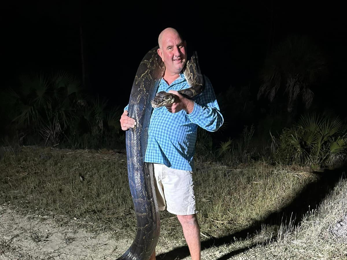 Snake hunters catch ‘monster’ python in Florida | The Independent