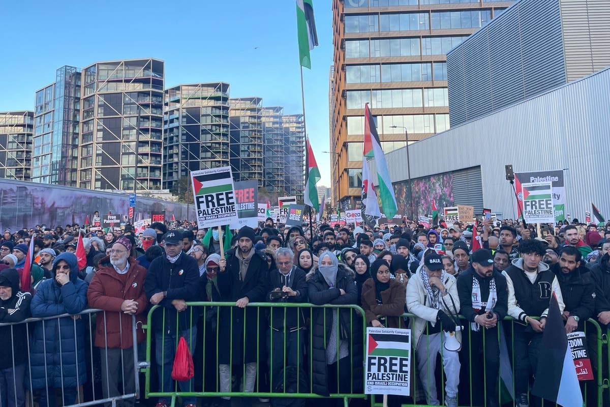 The two-minute silence of thousands of pro-Palestinian protesters was ...