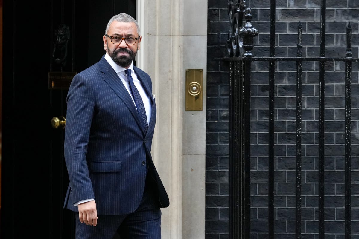 Who is James Cleverly? New home secretary tasked with stopping the ...