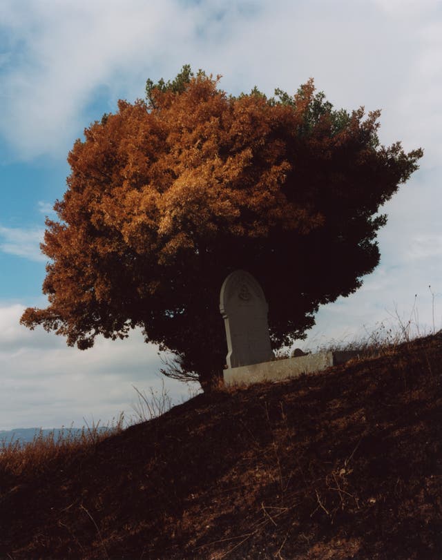 藤川めい gif 藤川めい 藤川めいです めいちゃんって呼んでくださいね返信しません 藤川めいの最新動画を視聴しましょう 週刊プレイボーイ新人 ...