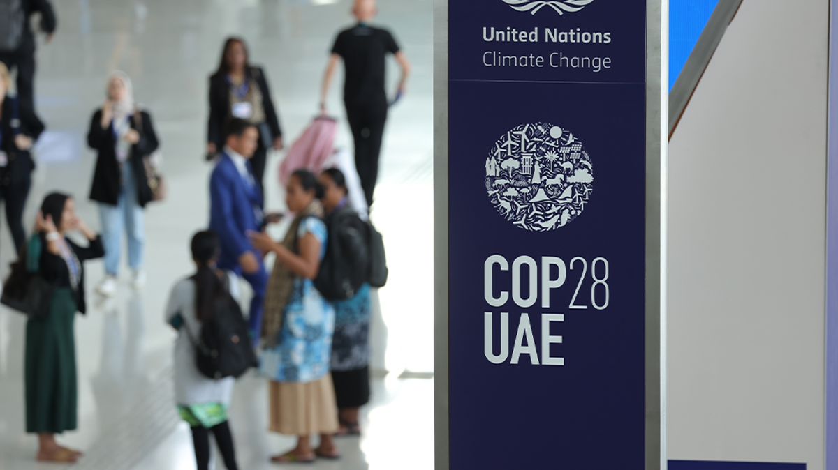 Watch: Governments launch COP28 climate relief, recovery and peace ...