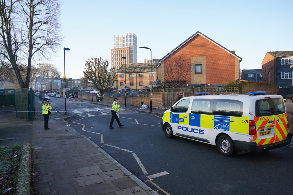 Neighbours report hearing daughter screaming in aftermath of fatal ...