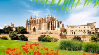 TUI’s 2024 trending destinations from Greek isles to Florida’s sun ...