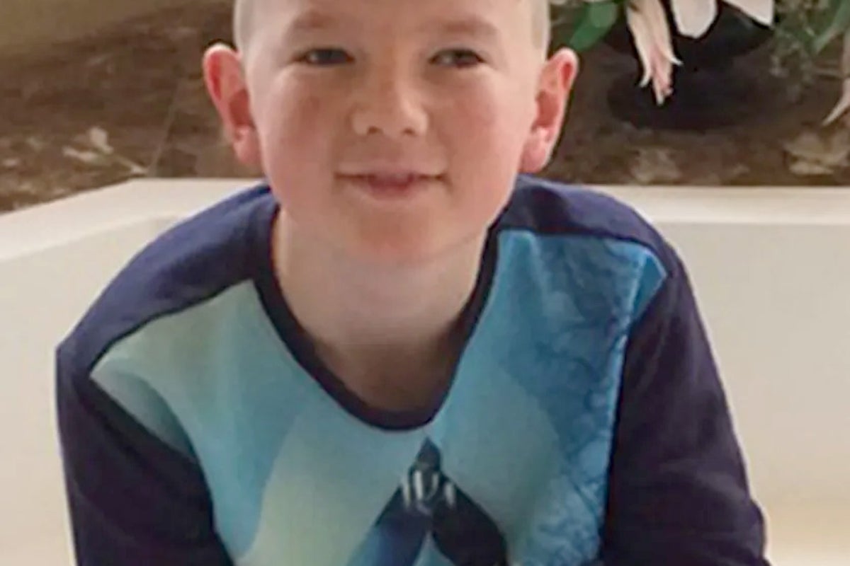 Missing British boy Alex Batty found in France six years after he was ...
