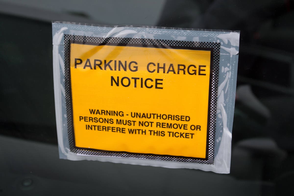 Drivers handed nearly 36,000 parking tickets a day by private firms ...