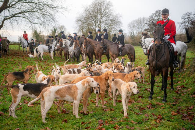 Trail hunting to be banned under new animal welfare push | The Independent