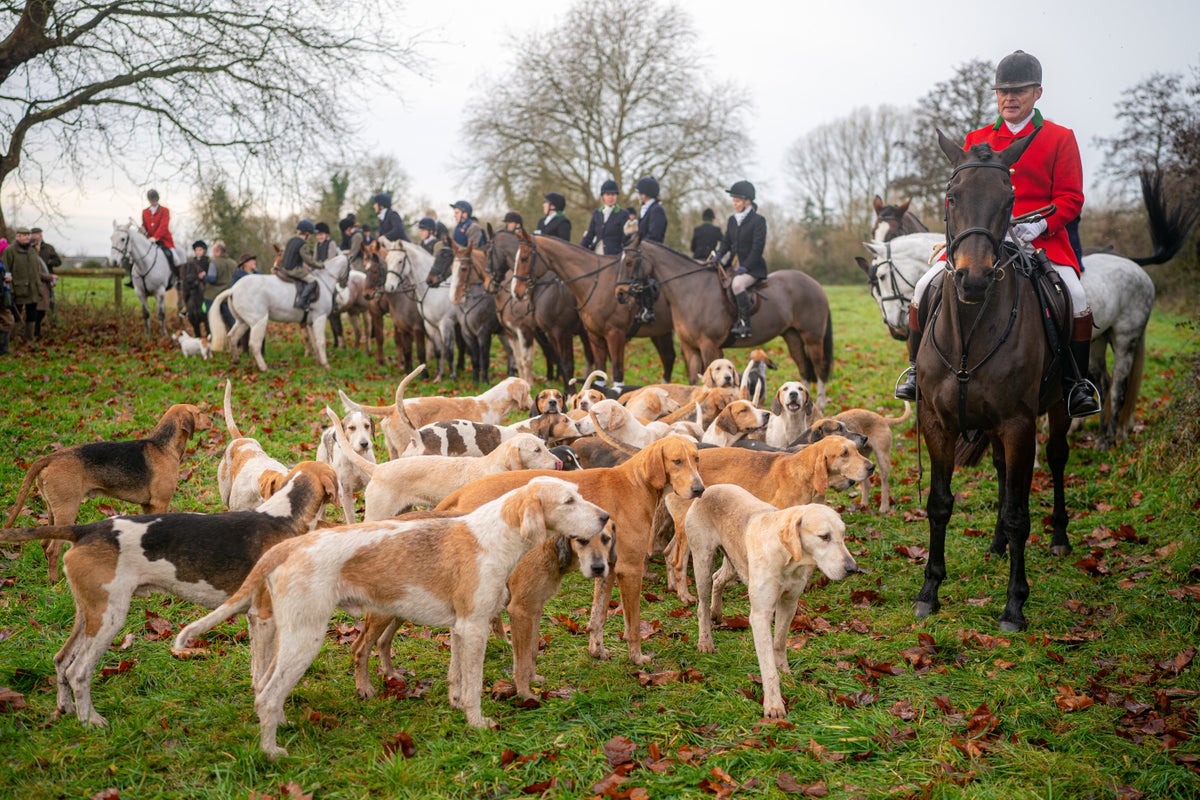Labour warned against strengthening hunt laws amid Boxing Day parades ...