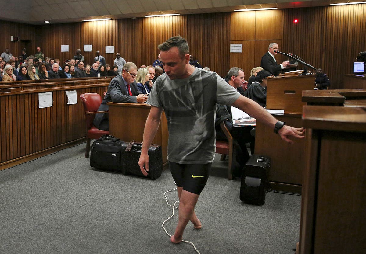 Oscar Pistorius and the Valentine's killing of Reeva Steenkamp. What ...