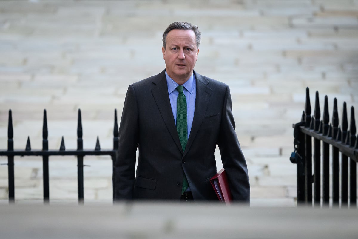 Watch as David Cameron questioned on Gaza ceasefire in House of Lords ...