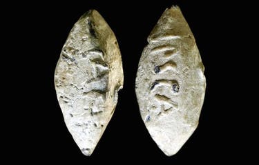 Science | The Independent