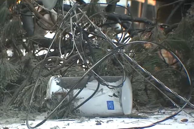 Three people killed after power line falls on car amid Oregon storms ...