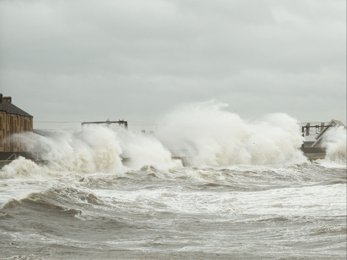 Simon Calder: Storm Isha spreads chaos across rail, sea and air | The ...