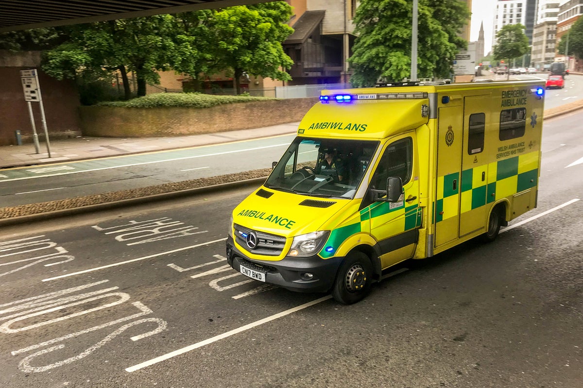 Dog seized after baby dies in attack in Welsh village of Rogiet | The ...