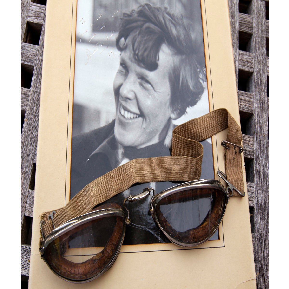 Amelia Earhart Em Cores