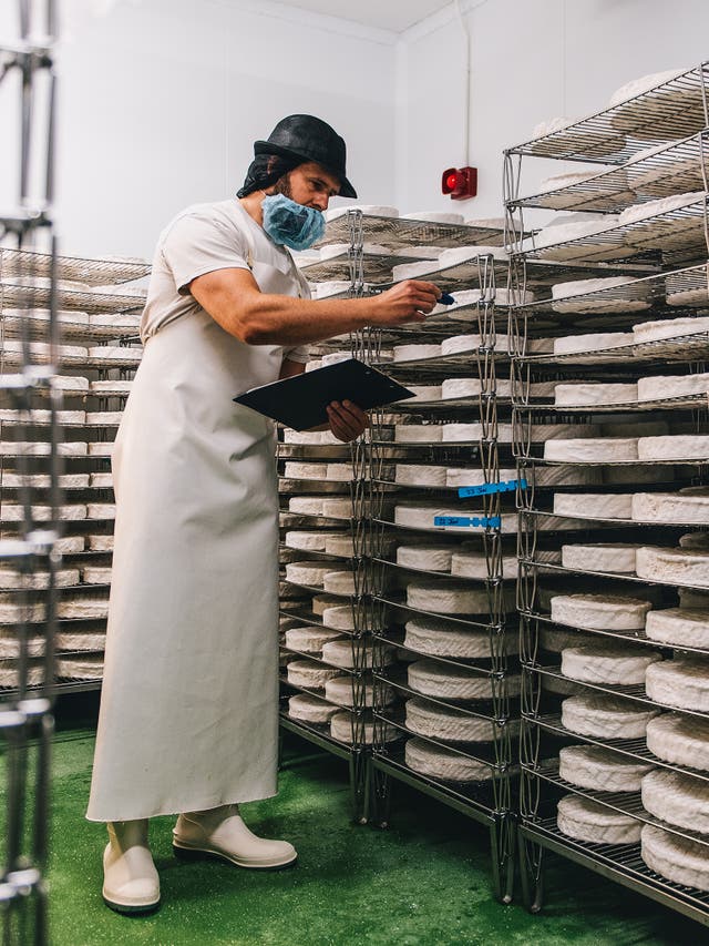 British brie: Can a tiny Suffolk farm beat the French? | The Independent
