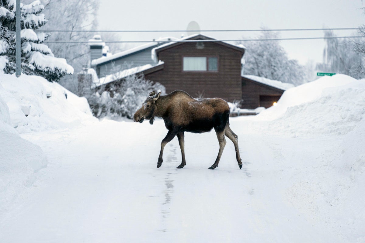 It's so cold and snowy in Alaska that fuel oil is thickening and roofs ...