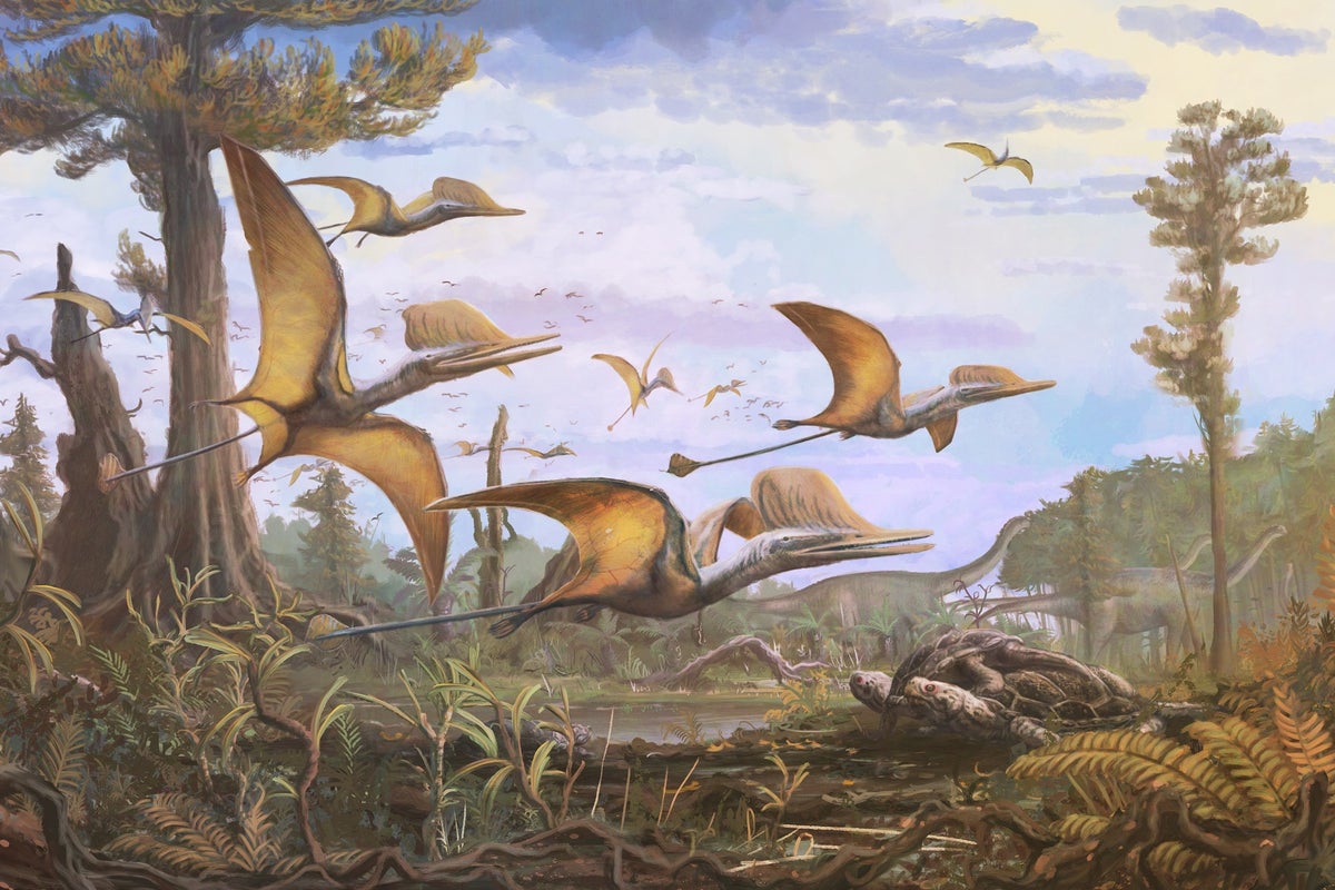 Researchers finally solve the mystery of the flying dinosaurs | The ...