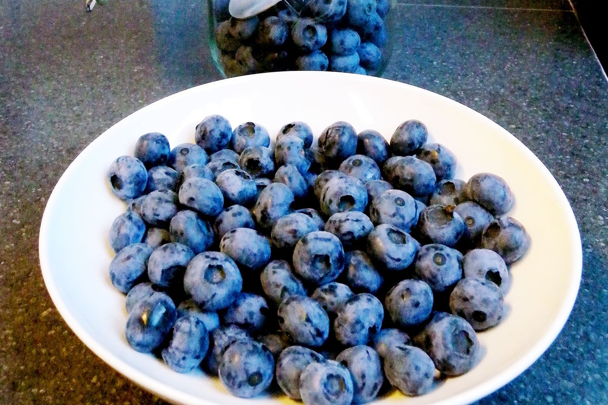 FDA issues recall for 400 boxes of blueberries | The Independent