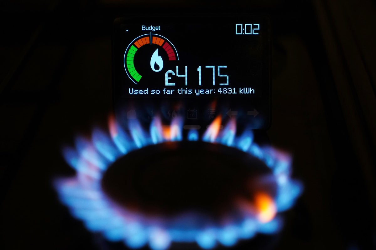 How to check if my smart meter is faulty? | The Independent