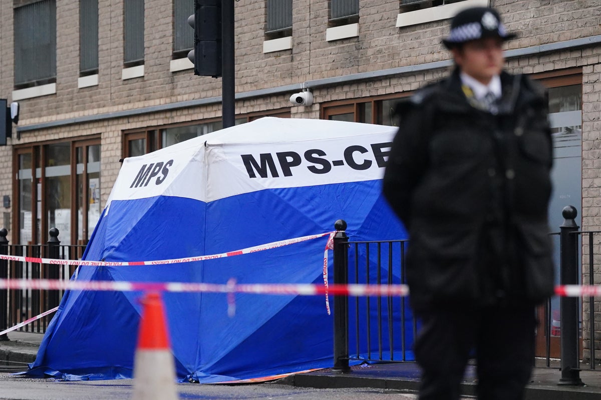 Murder investigation after teenager stabbed to death in Hackney, London ...