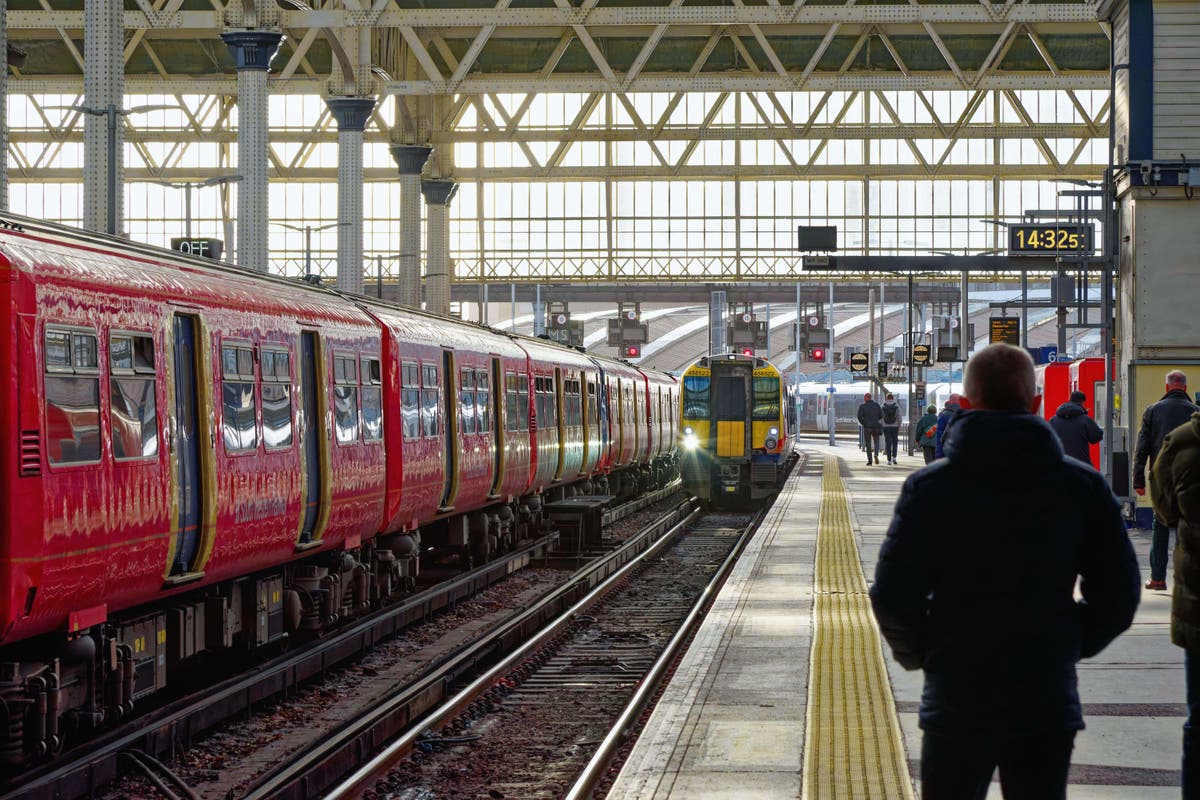 Rail passenger numbers could nearly double by 2050 – study | The ...