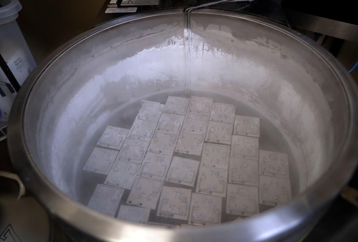 What to know about how a court ruling that frozen embryos are children ...