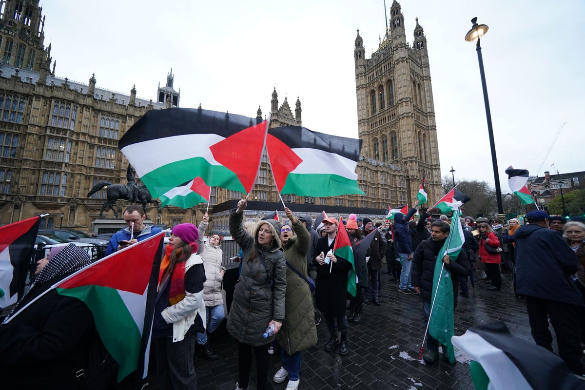 Palestine Solidarity Campaign defends right to lobby Parliament ‘in ...