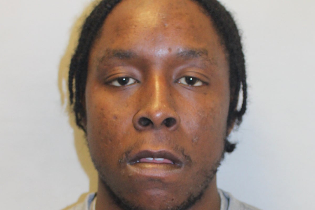 Joshua Jacques: ‘Serious failings’ by probation service before ...