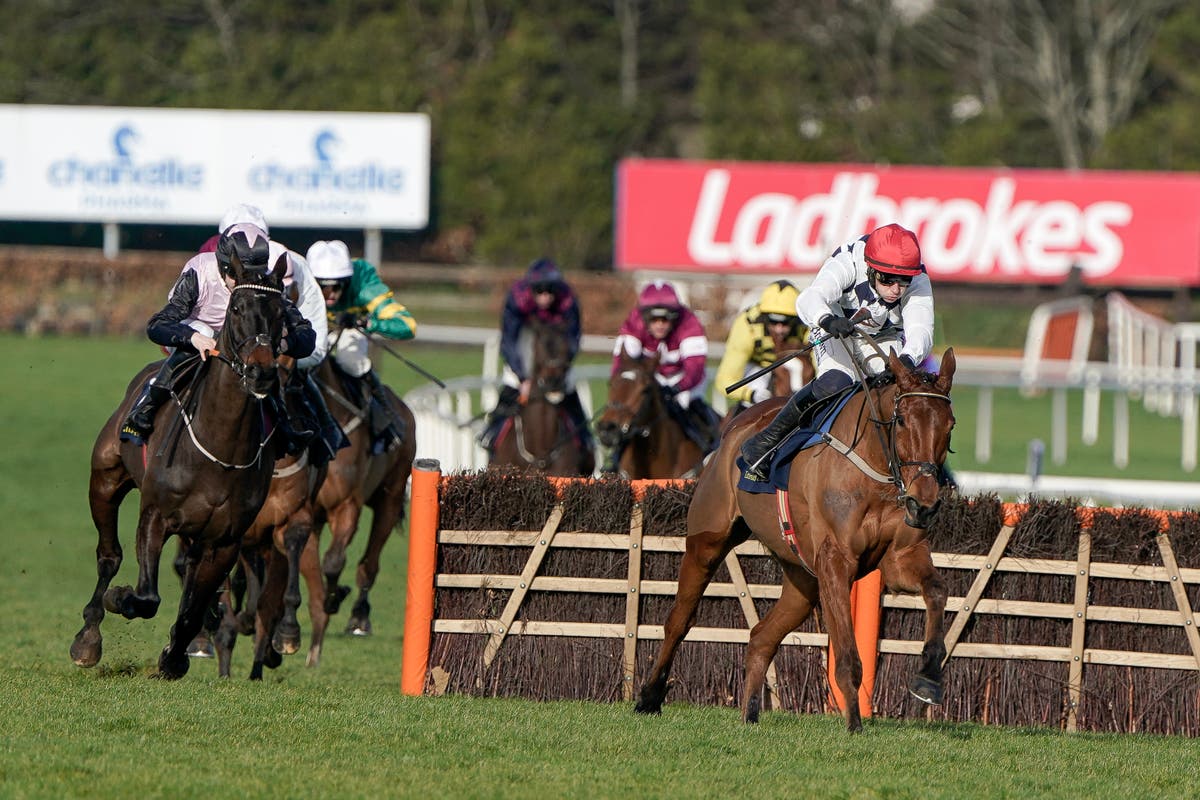 Willie Mullins confirms race decision over Ballyburn at Cheltenham ...