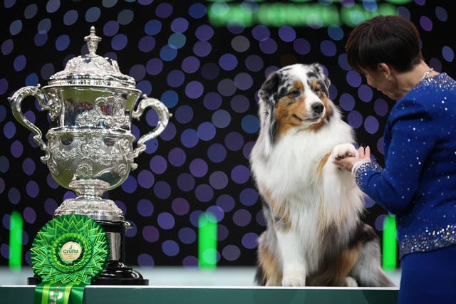 Crufts crowd boo as PETA activists try to storm dog show with call for ...