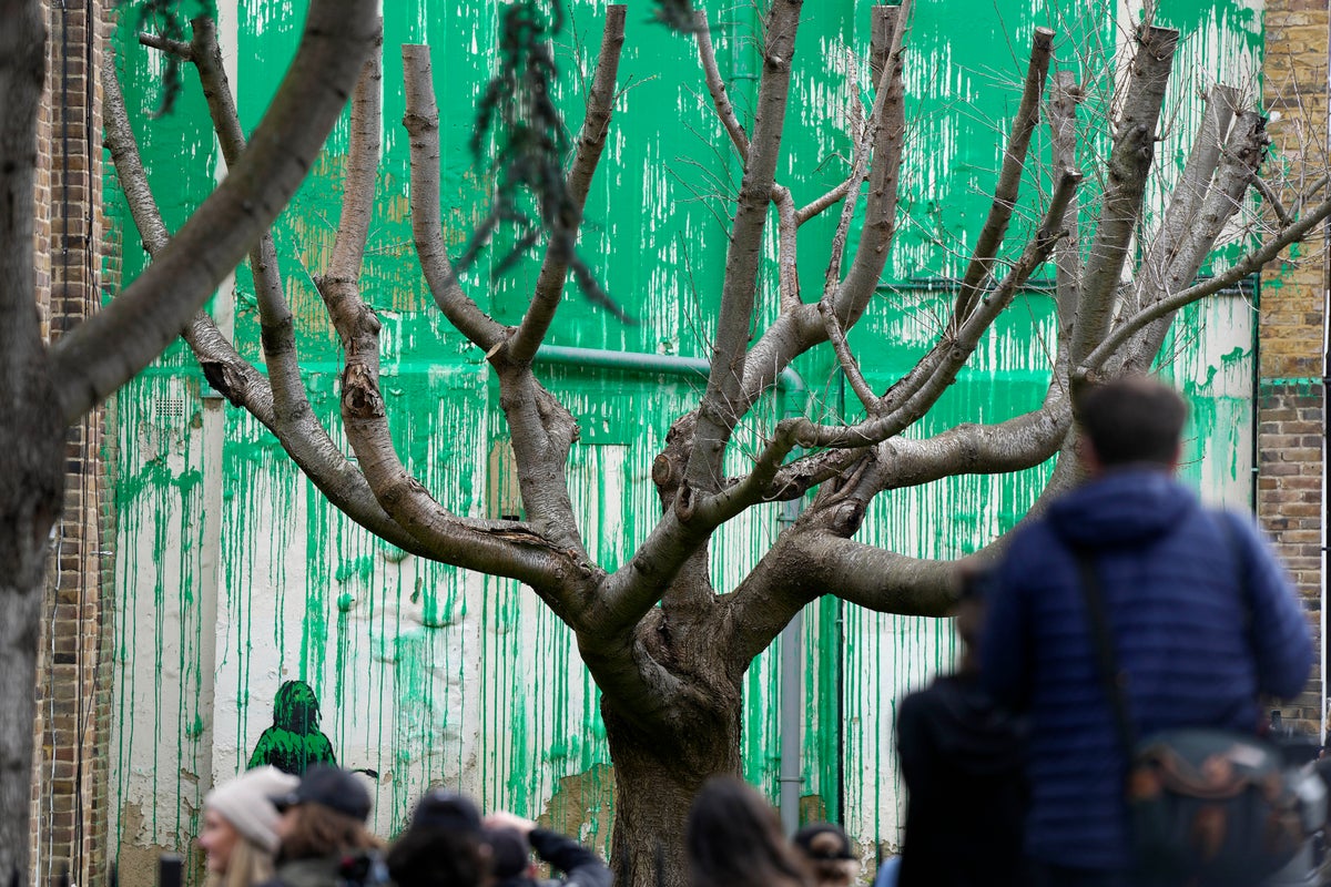 Banksy tree mural that sprouted in London is fenced off after apparent ...
