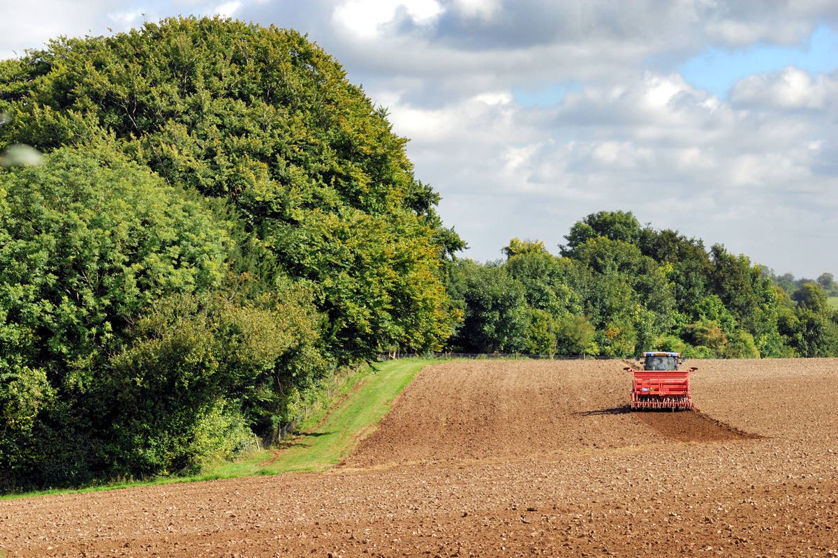 Red Tractor officially axes green farming scheme amid backlash from ...