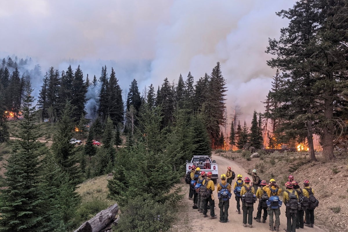 US firefighting faces mass resignations as Congress stalls | The ...