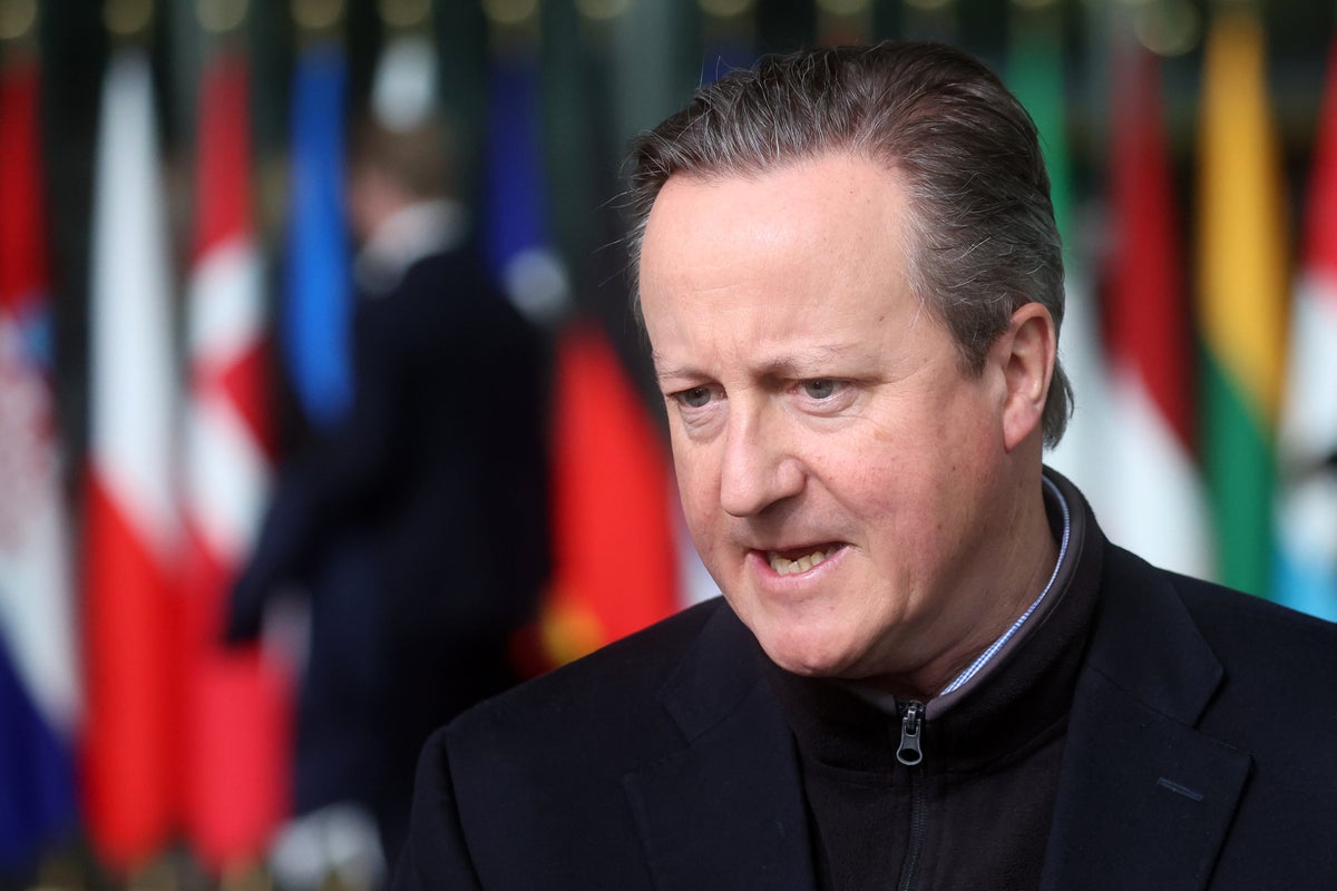 Watch again: David Cameron addresses Nato leaders on Israel Gaza ‘pause ...