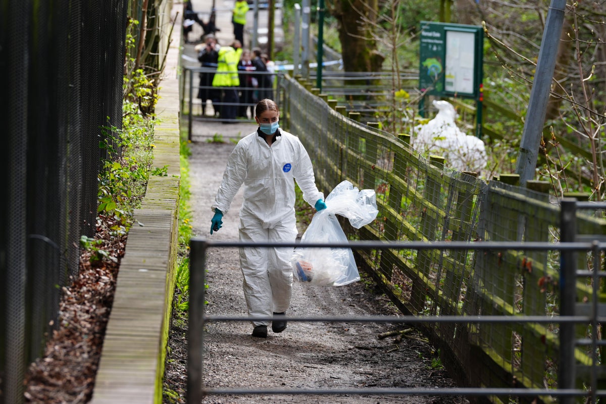 Police search for other body parts after human torso found at nature ...
