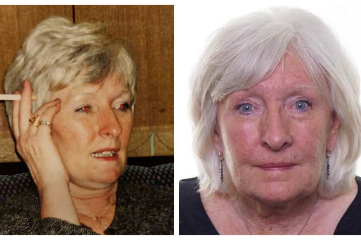 Murder probe as woman, 74, vanishes after getting into woman’s car five ...